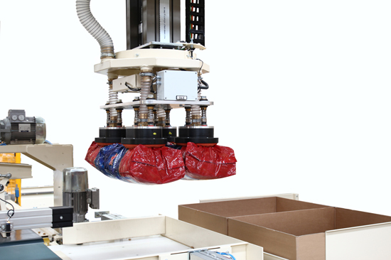 Multi-functions Palletising Systems